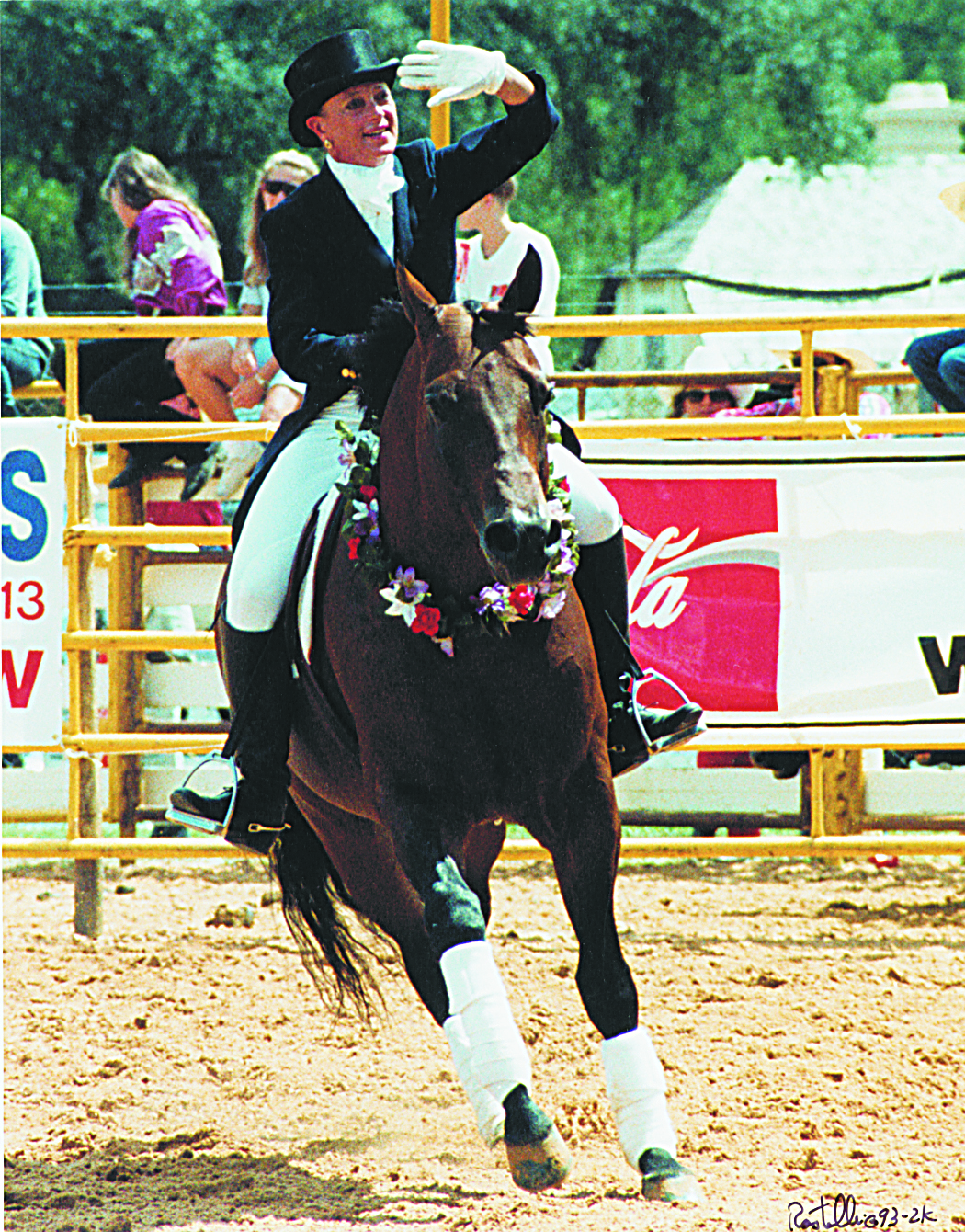 Magical Moments with Rugged Lark and My Royal Lark DD - Shop Lynn Palm